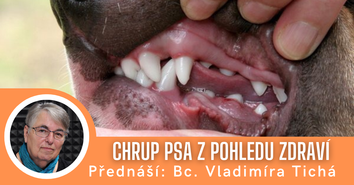 🦷 Chrup psa z pohledu zdraví, chovu a hodnocení exteriéru